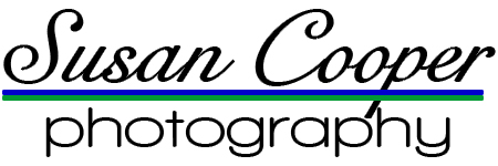 Susan Cooper Photography - Pro Photography Online Sales